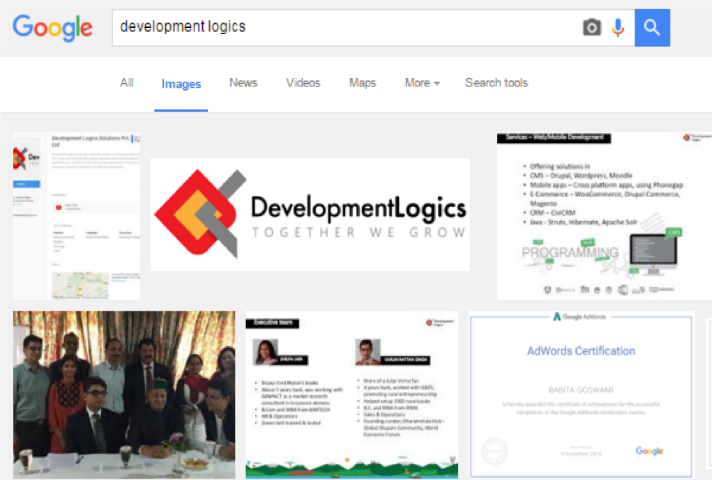 How To Show Up In Google Image Results Development Logics